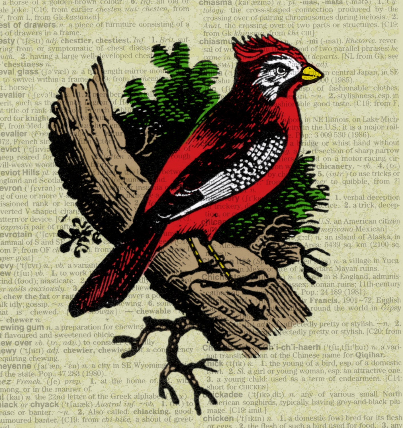 Vintage Bird Prints, Vintage Poster, Antique Bird Print, Birds ...