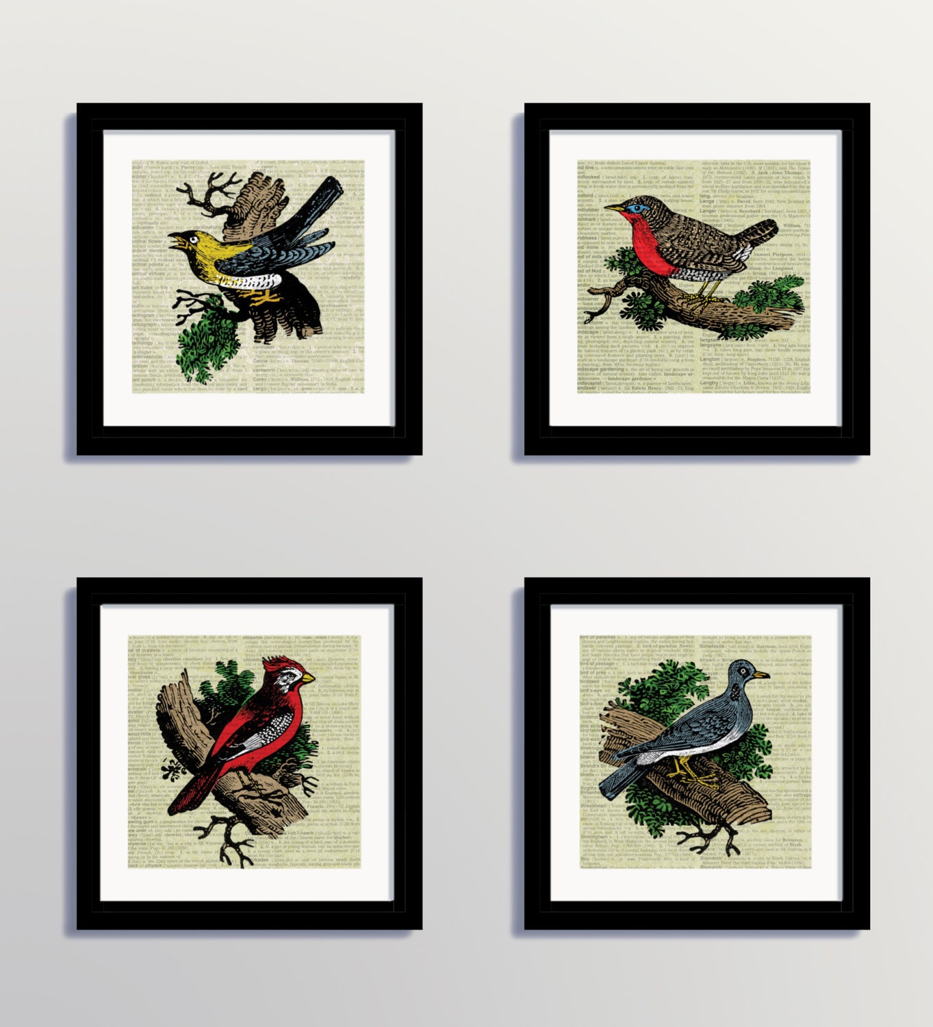 Vintage Bird Prints Vintage poster Antique Bird Print Birds | Etsy