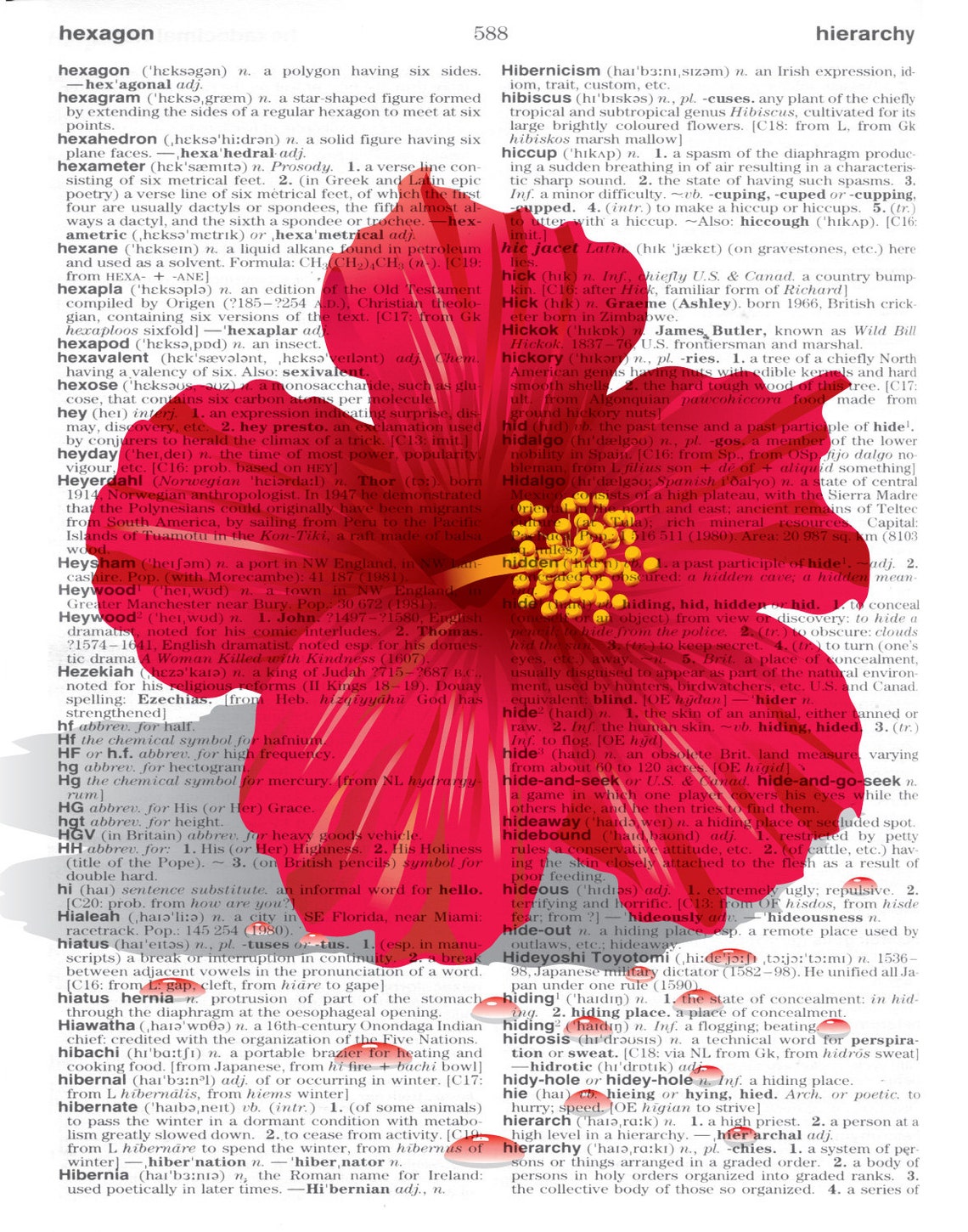 Printable Hibiscus Poster Printable Flower Print - Etsy Canada