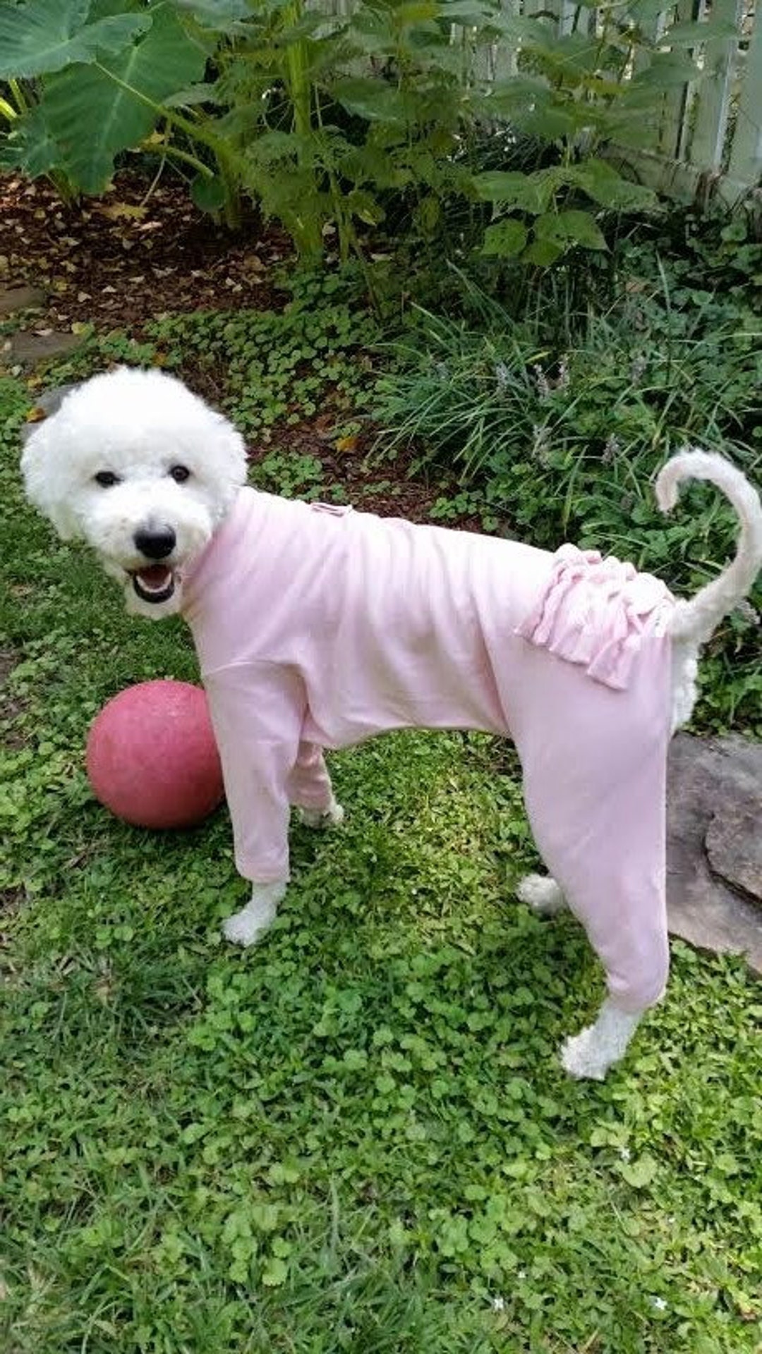 Custom Organic Solid Color 100% Cotton Knit Onepiece for Pets.custom ...