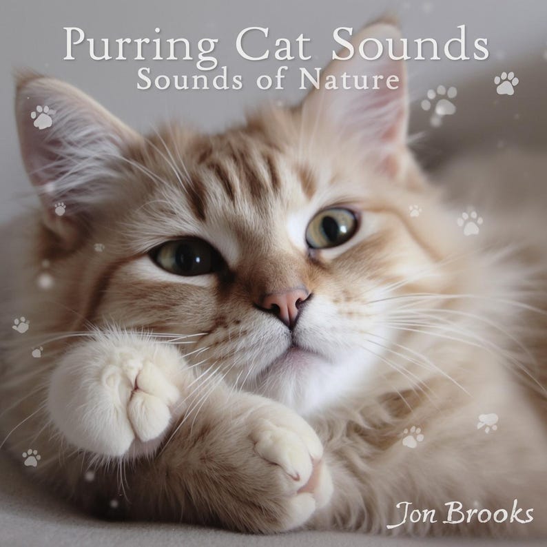 Purring Cat Sounds ASMR - Audio CD - Relaxing Sleep, Meditation ...