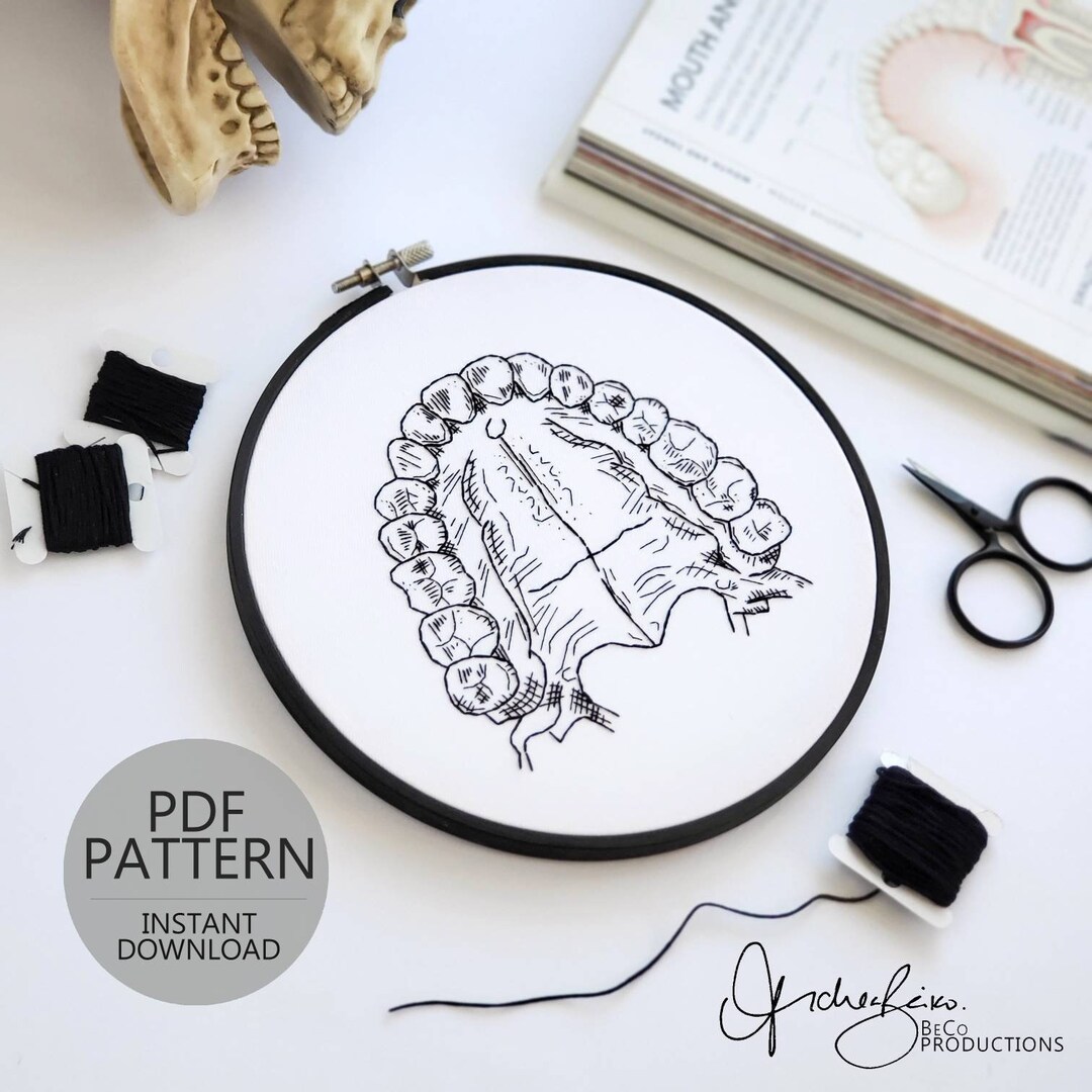 Teeth/jaw Anatomy Embroidery Pattern - DIY Digital Download - PDF ...