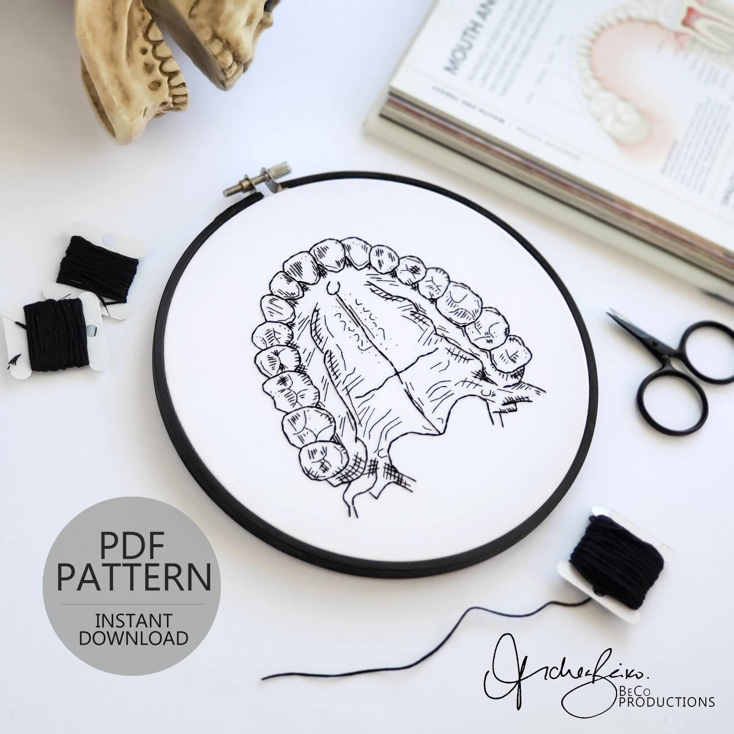 Teeth/jaw Anatomy Embroidery Pattern DIY Digital Download - Etsy Canada