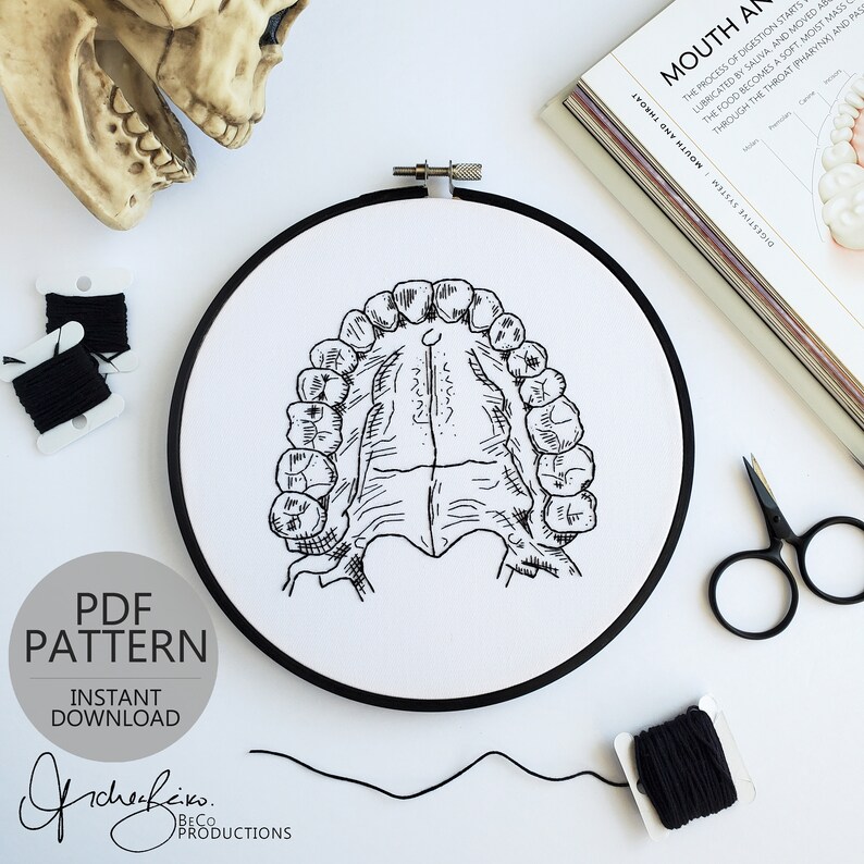 Teeth/jaw Anatomy Embroidery Pattern DIY Digital Download - Etsy Canada