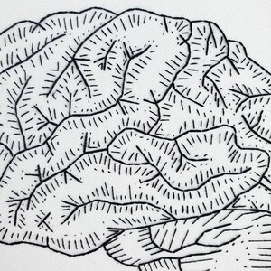 Brain Anatomy - PDF Digital Download Embroidery Pattern & Guide - Etsy