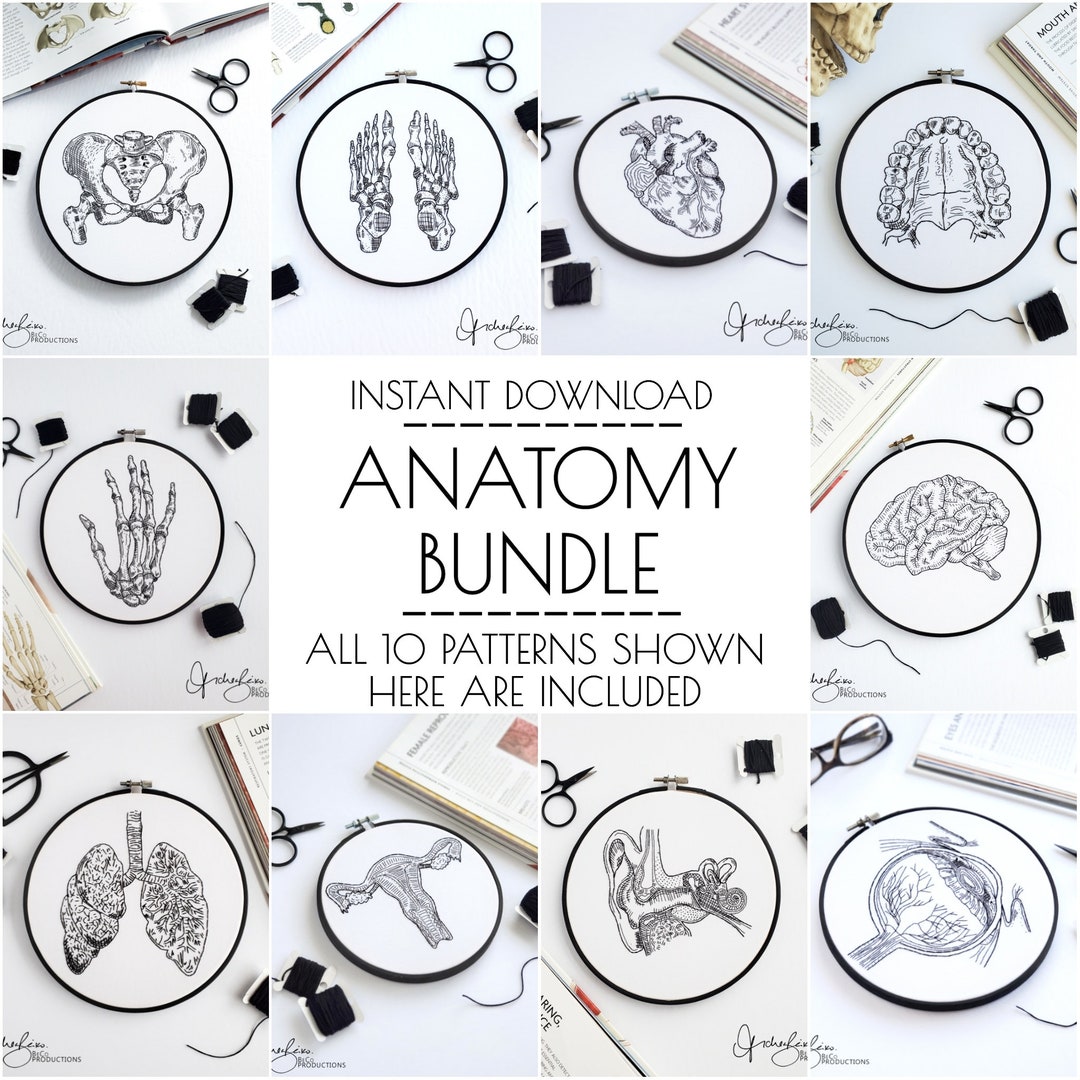 Anatomy Embroidery Series BUNDLE - DIY Digital Download - PDF Pattern - Modern Embroidery ...