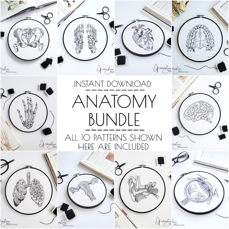 Anatomy Embroidery Series BUNDLE - PDF Digital Download Embroidery ...