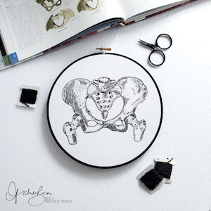 Anatomy Embroidery Series BUNDLE - DIY Digital Download - PDF Pattern ...