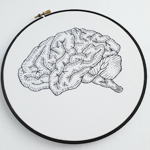 Brain Anatomy - PDF Digital Download Embroidery Pattern & Guide - Etsy