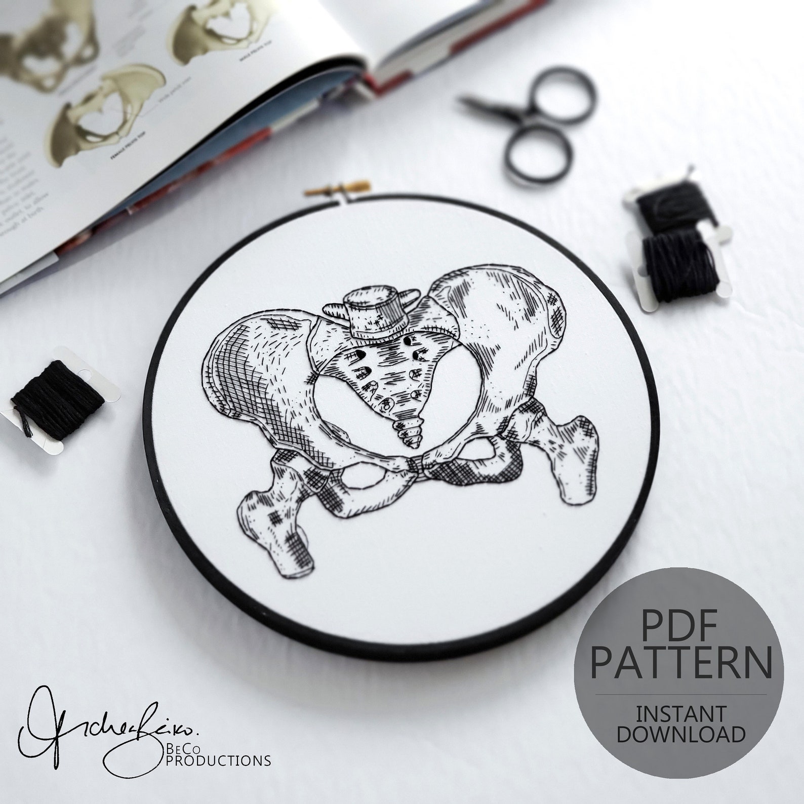 Pelvis Anatomy Embroidery Pattern DIY Digital Download PDF Pattern ...