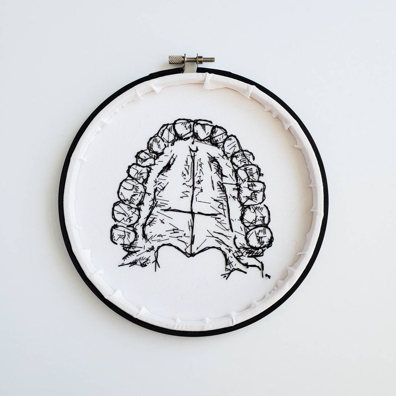 Teeth/jaw Anatomy Embroidery Pattern - DIY Digital Download - PDF ...