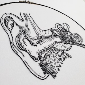 Ear and Inner Ear Anatomy Embroidery Pattern - DIY Digital Download ...