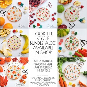 Orange Life Cycle Print Embroidery Pattern & Guide DIY - Etsy