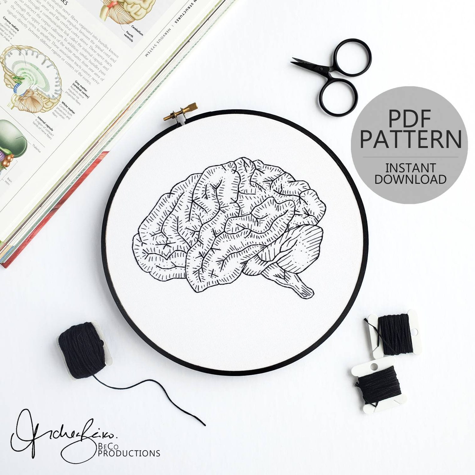 Brain Anatomy Embroidery Pattern DIY Digital Download PDF - Etsy