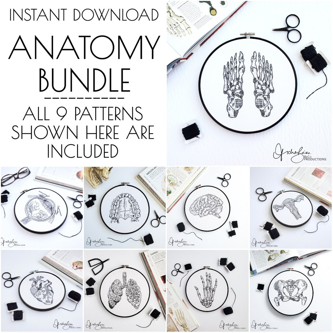 Anatomy Embroidery Series BUNDLE DIY Digital Download PDF - Etsy