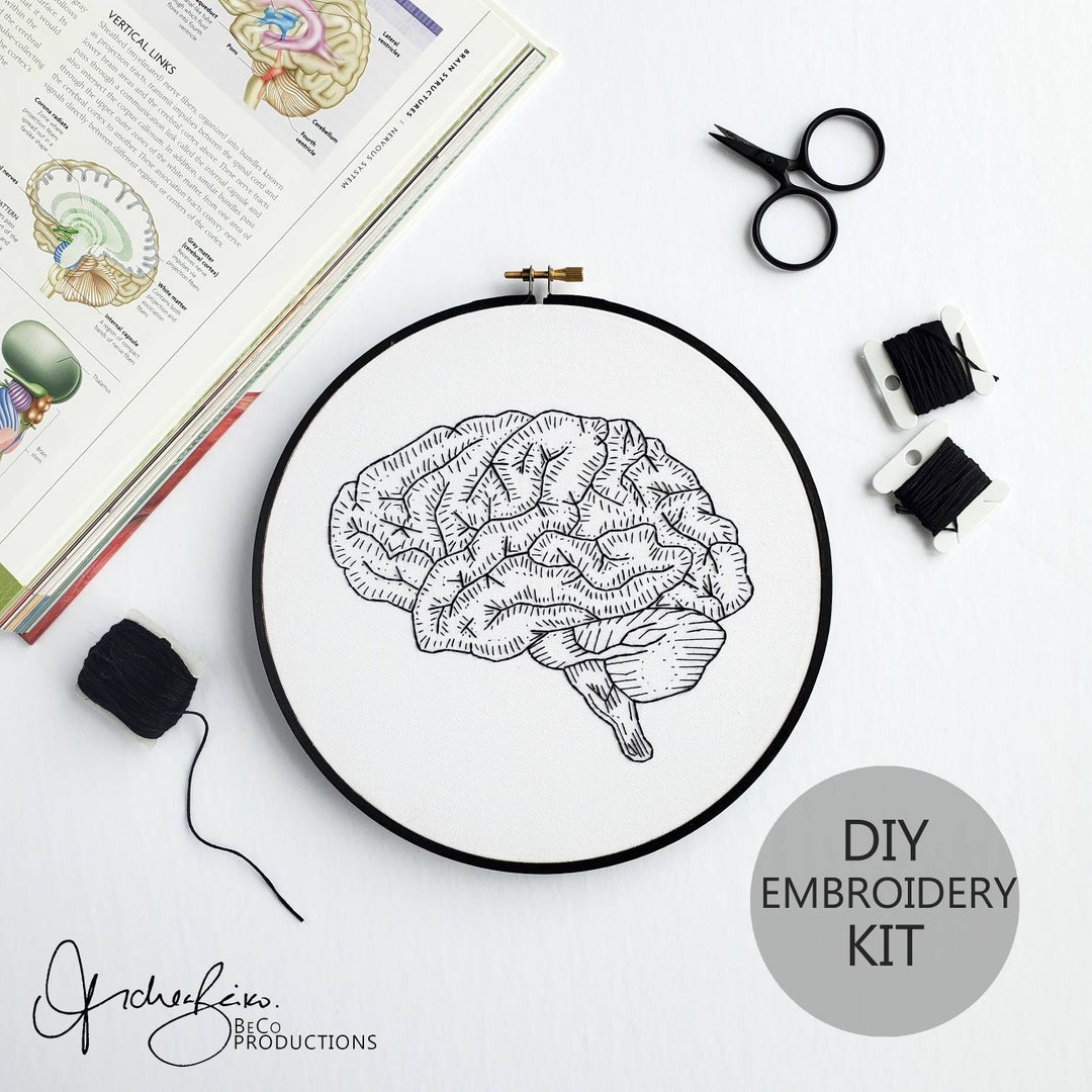 Brain Anatomy Embroidery Series DIY Stitch KIT Beginner - Etsy