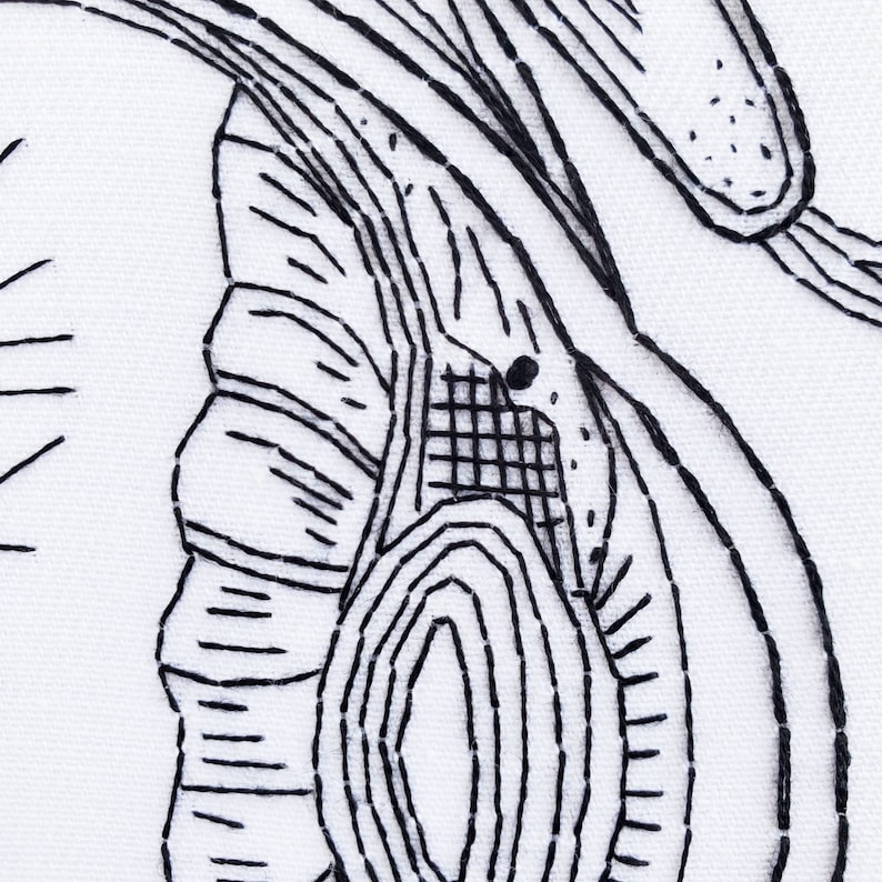 Eyeball Anatomy Embroidery Pattern DIY Digital Download - Etsy