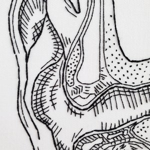 Ear and Inner Ear Anatomy Embroidery Pattern - DIY Digital Download ...