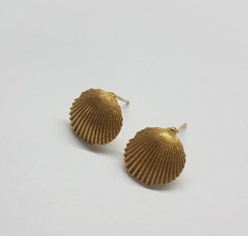 Gold Seashell Earrings Studs Sea Shell Stud Earrings Nature - Etsy