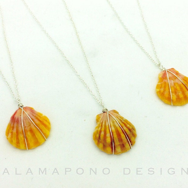 Sunrise Shell - Etsy