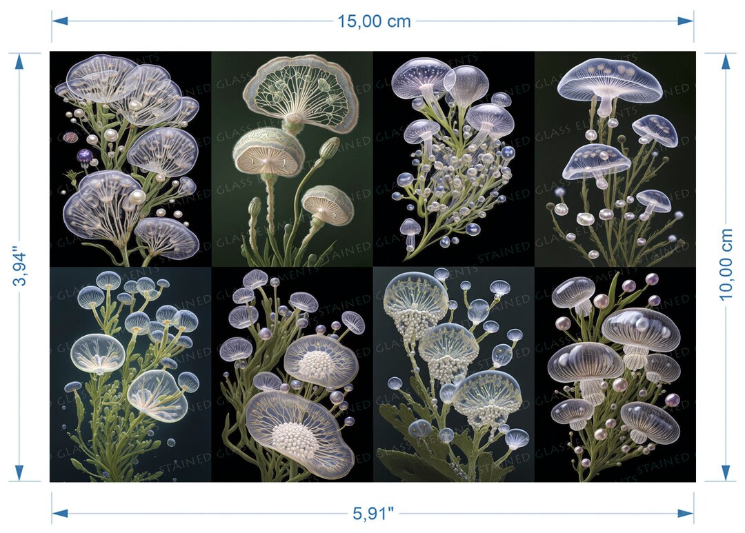 Fungi Fantasy Ceramic Decals Fusible Transfers for Ceramics Glass ...