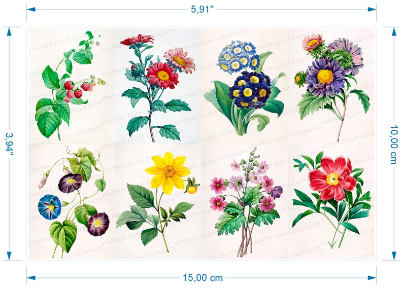 Flowers Ceramic Decals Floral Motifs Fusible Transfers for Decoration ...
