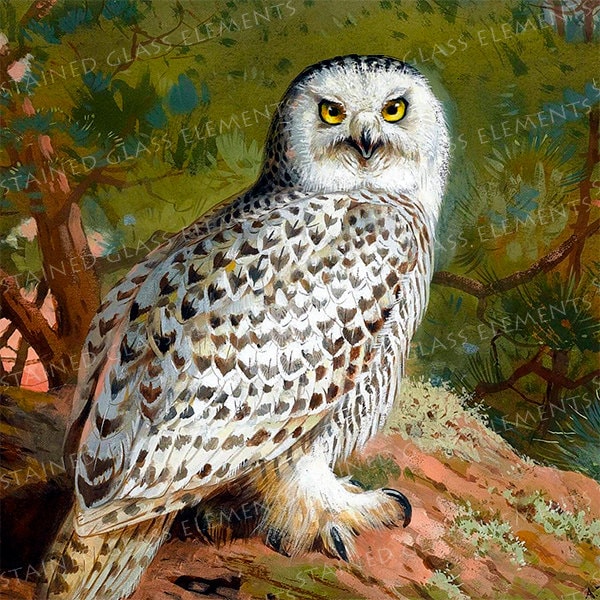 Ceramic Transfers - Etsy