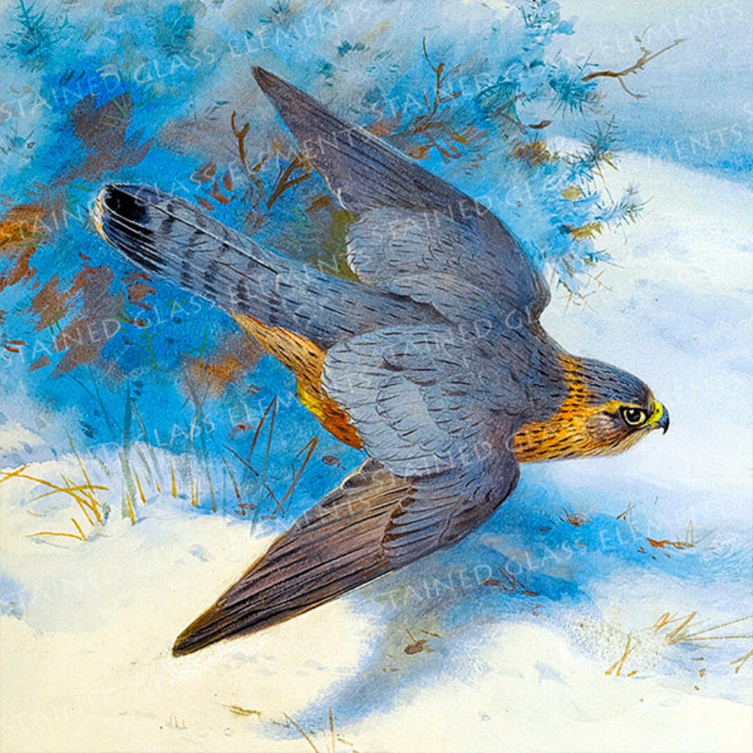 Merlin, Ceramic Decal, Falcon, Decals Fusible, Falcon Decals, Fusible ...