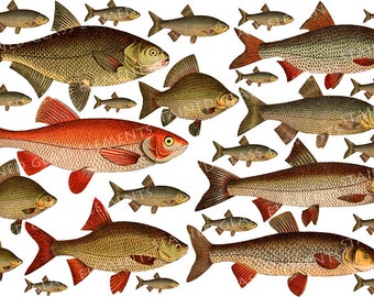 StainedGlassElements