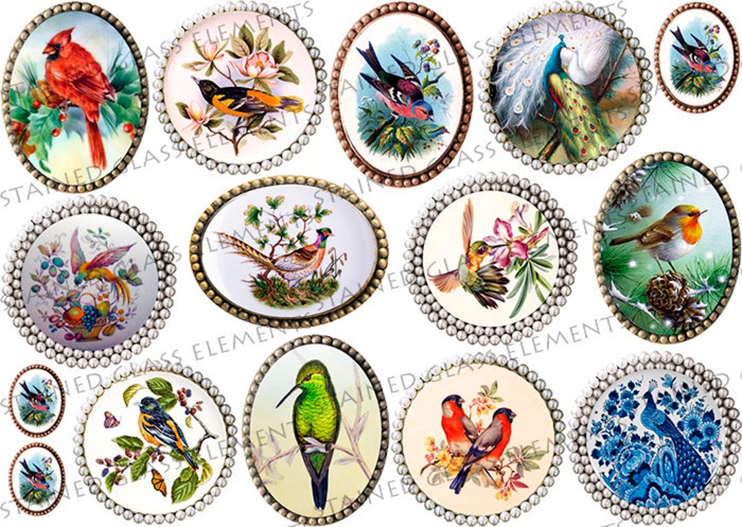 Ceramic Decals Birds, Fusible Transfers, Transfers Fusing, Birds ...
