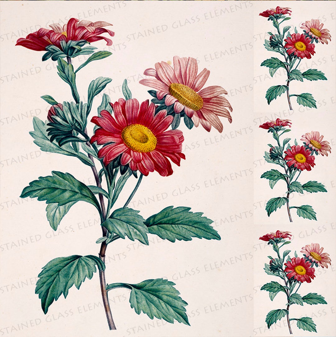 Red Flowers Ceramic Decals Botanical Vintage Fusible Transfer Flower ...