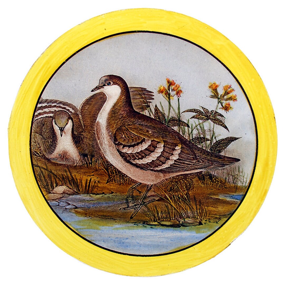 Pigeons Stained Glass Kilnfired Roundel Vintage Look, Dove Stained ...