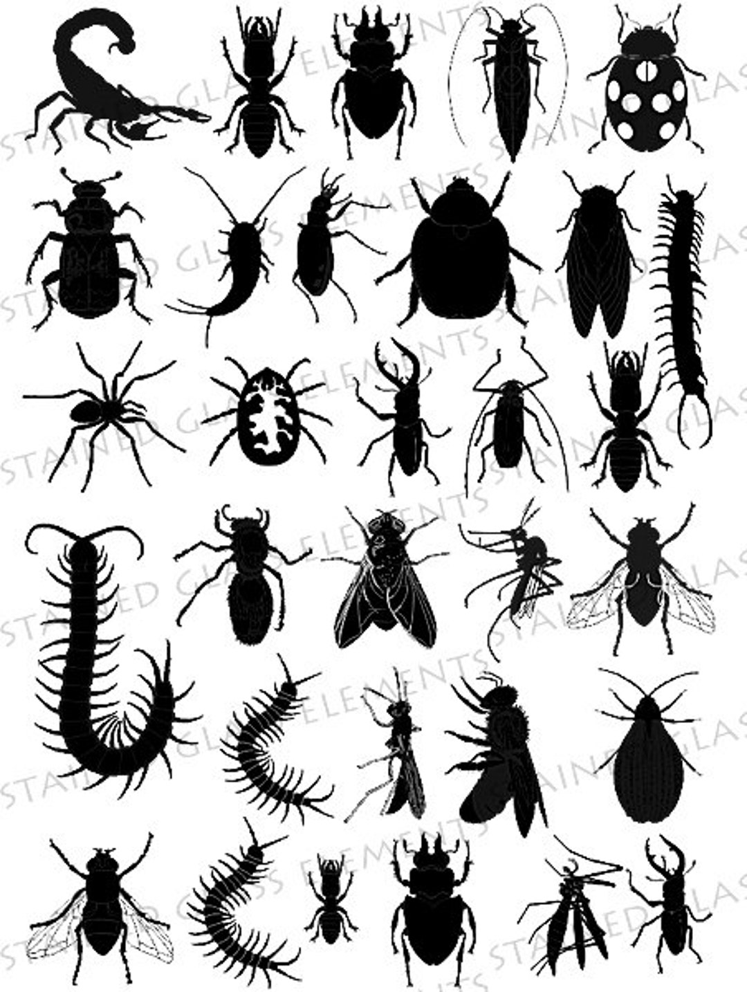 Insects Ceramic Decals Fusible Transfers for Decoration of Ceramics ...