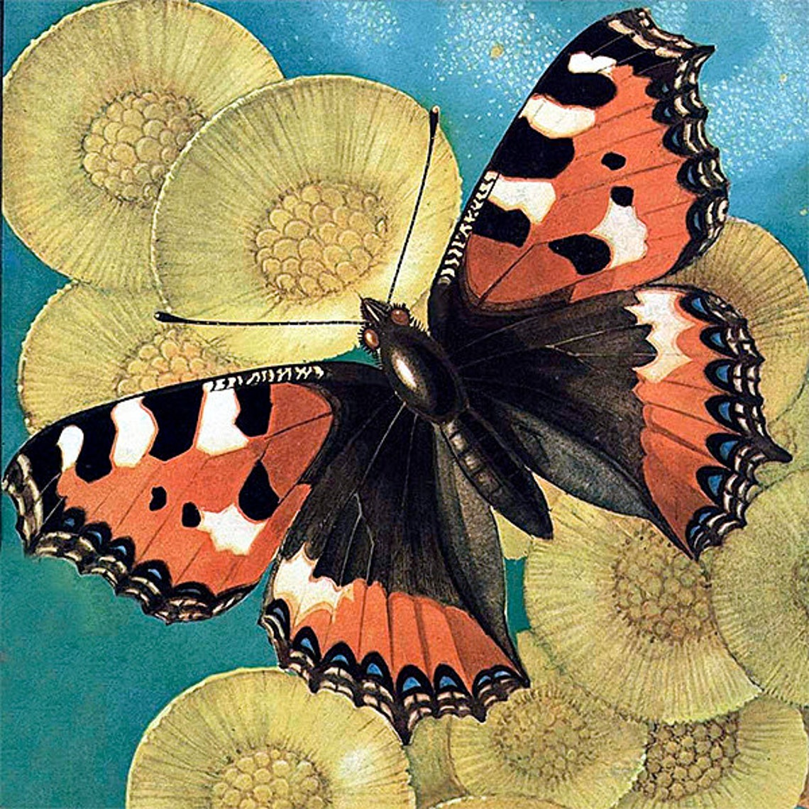 ceramic-decal-butterfly-ceramic-transfer-1400-1562-f-etsy