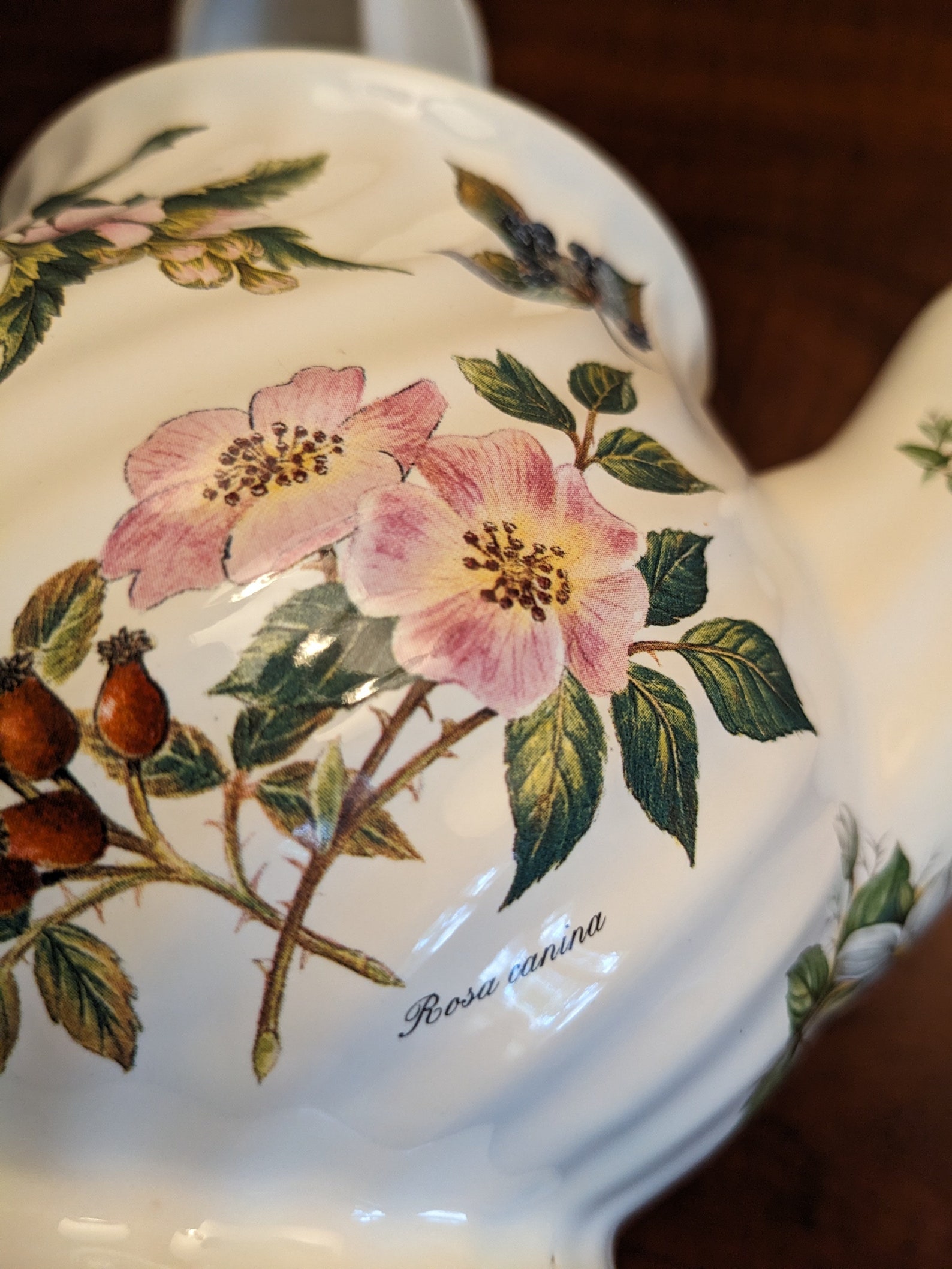 Vintage Caledonia Pottery Staffordshire, England, Botanical Flower, 4 ...