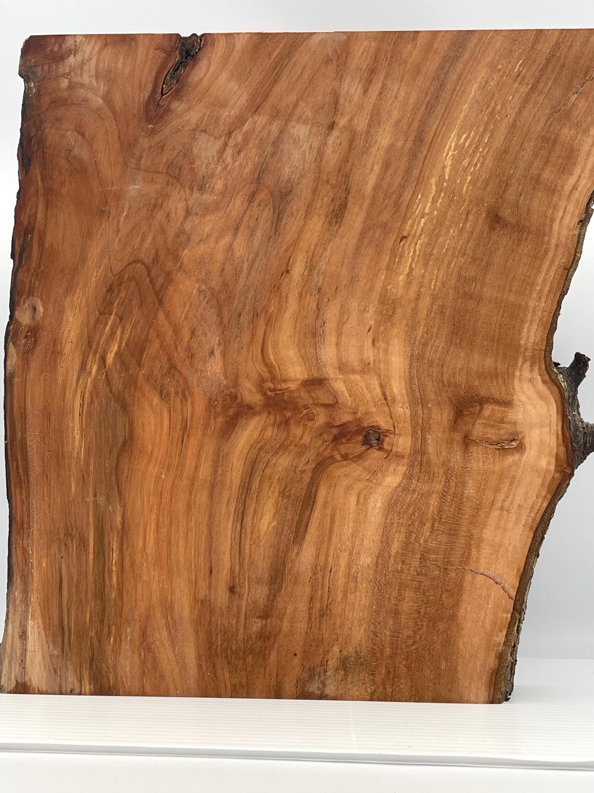 Spalted Apple Blank, Air Dried, Turning Wood, Project Board, Burl Cap ...