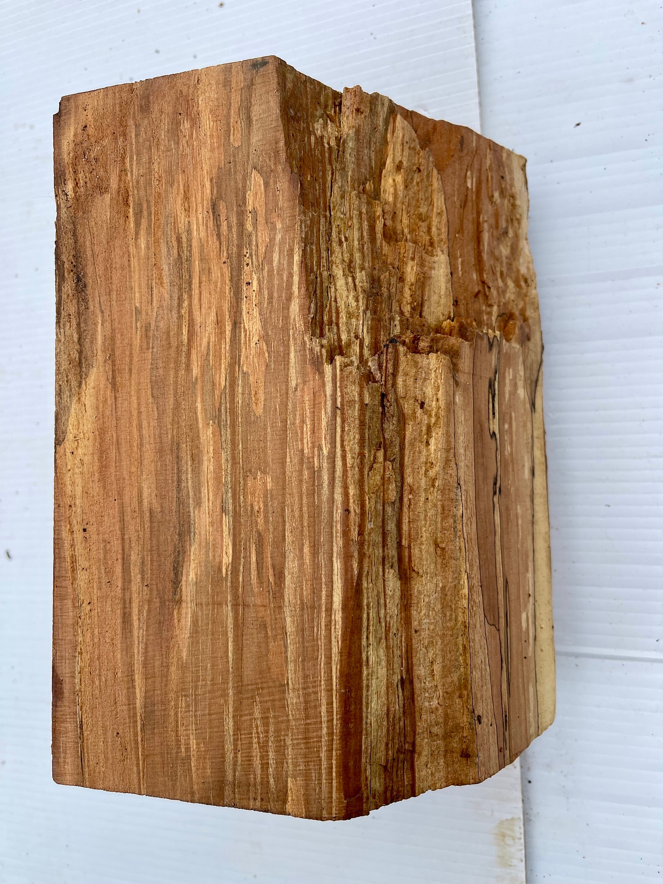 Spalted Apple Blank, Air Dried, Turning Wood, Project Board, Burl Cap ...
