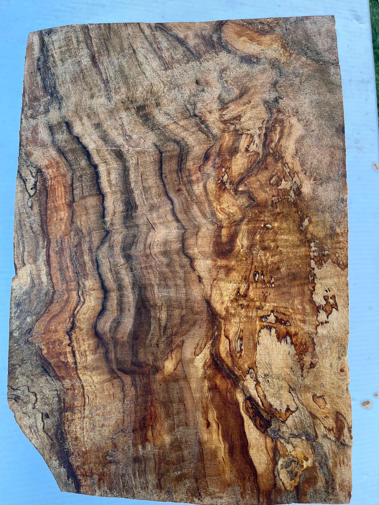 Curly Spalted Maple Burl, Turning Wood, Project Board, Burl Cap, Knife ...