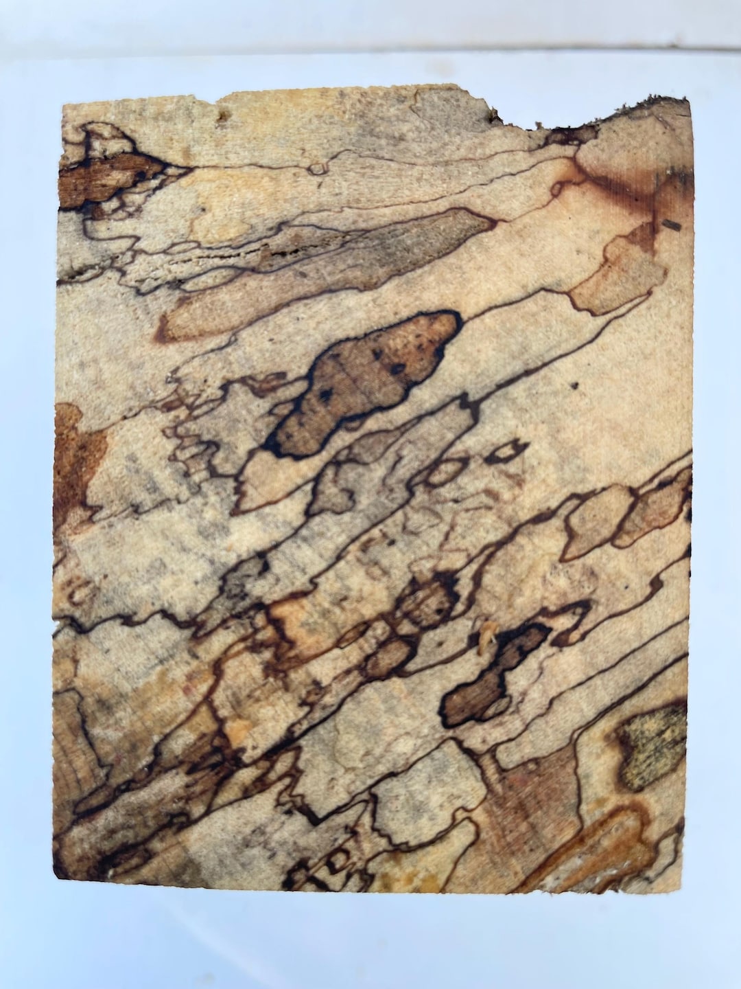 Spalted Hackberry, Dried, Project Board, Resin Board, Turning Wood ...