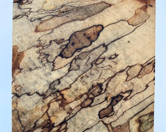 Spalted Hackberry, Dried, Project Board, Resin Board, Turning Wood ...