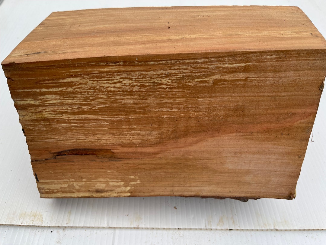 Spalted Apple Blank, Air Dried, Turning Blank, Project Board, Burl Cap ...