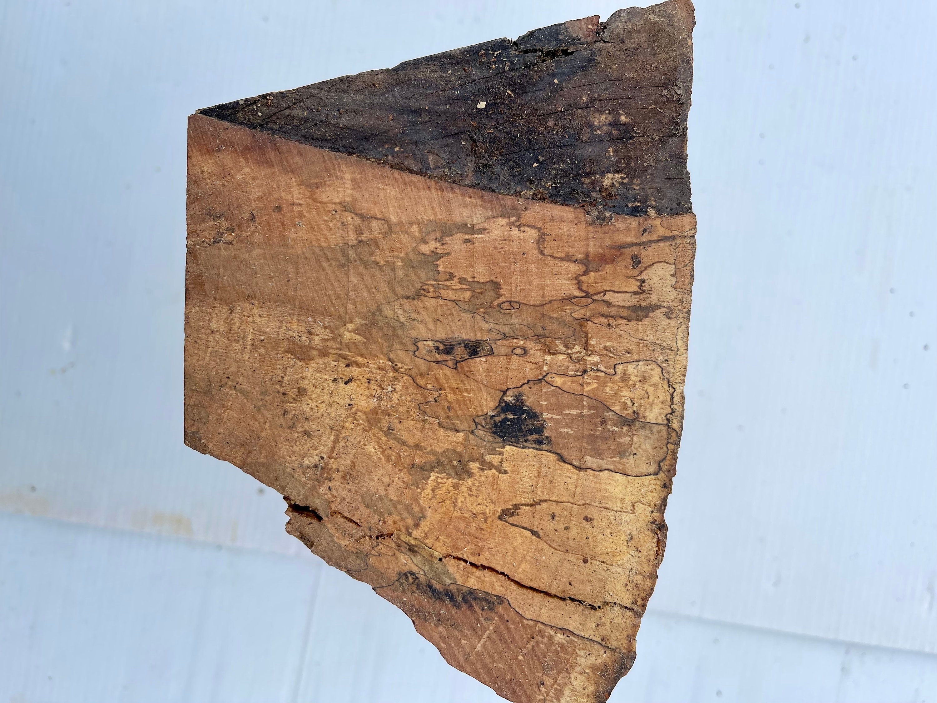 Spalted Apple Blank, Air Dried, Turning Wood, Project Board, Burl Cap ...