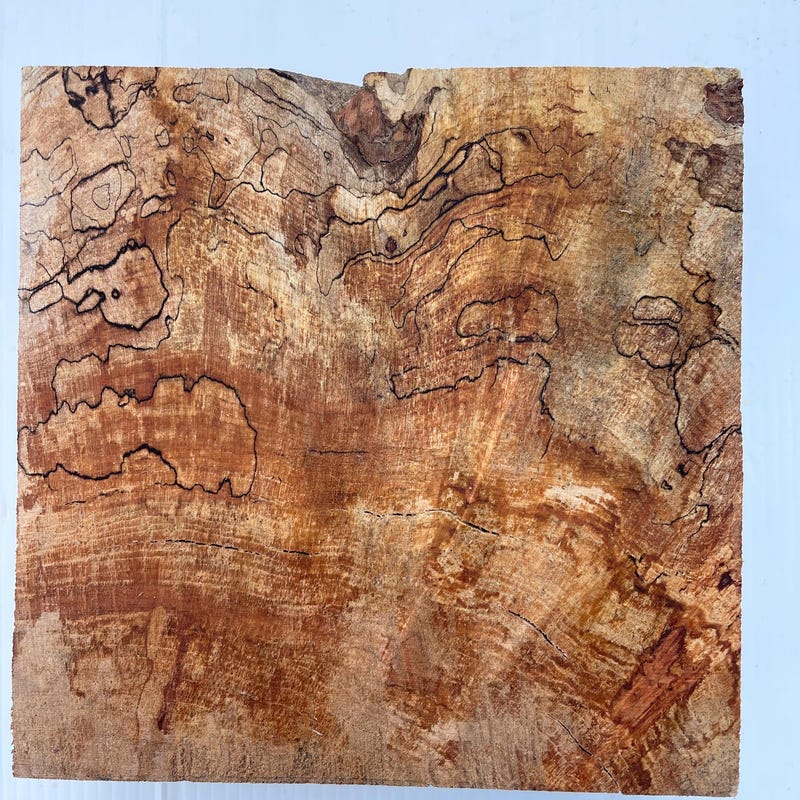 Spalted Wood Slab - Etsy
