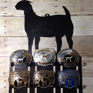 6 Belt Buckle Display Rack for Livestock, Rodeo, Buckles: Stock Show ...