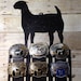 6 Belt Buckle Display Rack for Livestock Rodeo Buckles: - Etsy