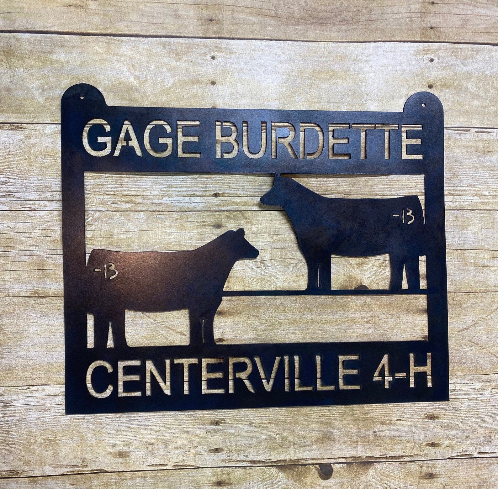 Show Cattle Sign W Heifer and Bull/steer Stock Shows Barns - Etsy