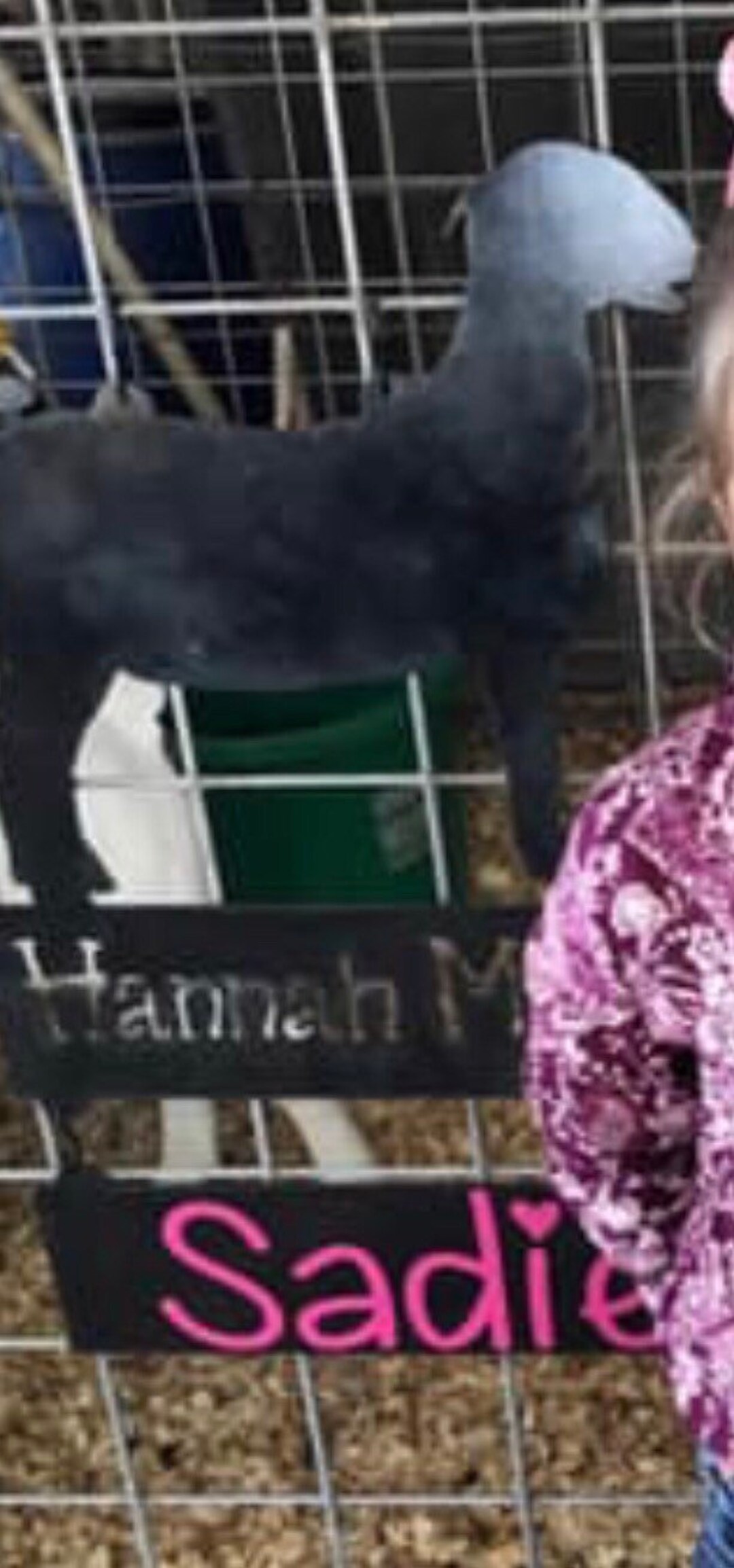 Christmas Deadline 12/12 Livestock Sign Add-on for Animal's Name on Pen ...