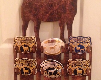 Belt Buckle Display - Etsy
