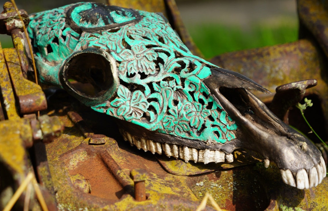 Real Hand Carved Pony Skull , Equine , Horse , Carving - Etsy