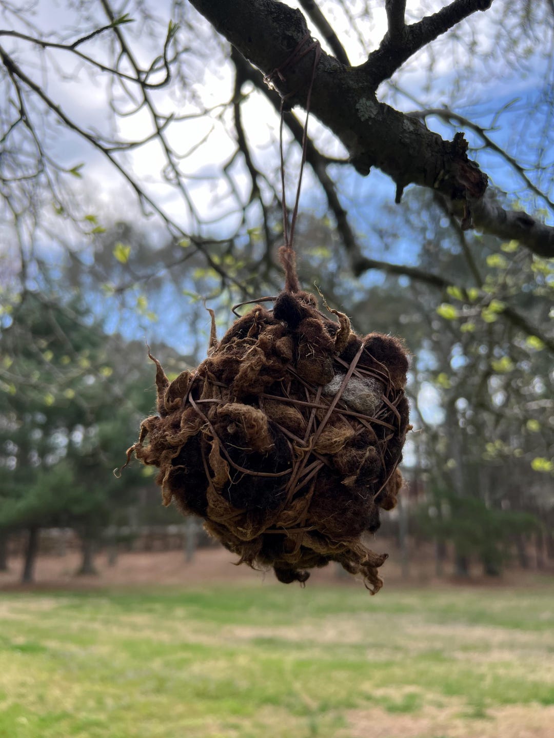 Critter Nesting Ball - Etsy